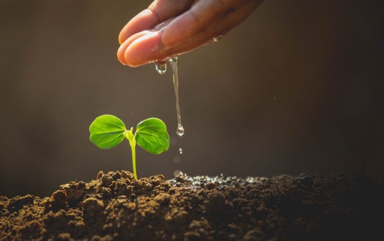 What is Sustainable Water Management? | Quench Buggy